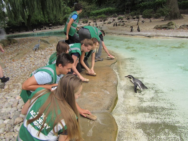 Wildlife Courses | Zoology Conservation | Animal Careers