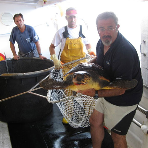 Animal Emergency Disaster Response | Animal Careers Direct