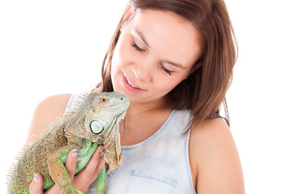 Reptile Welfare Certificate | Reptile Care | Careers Direct